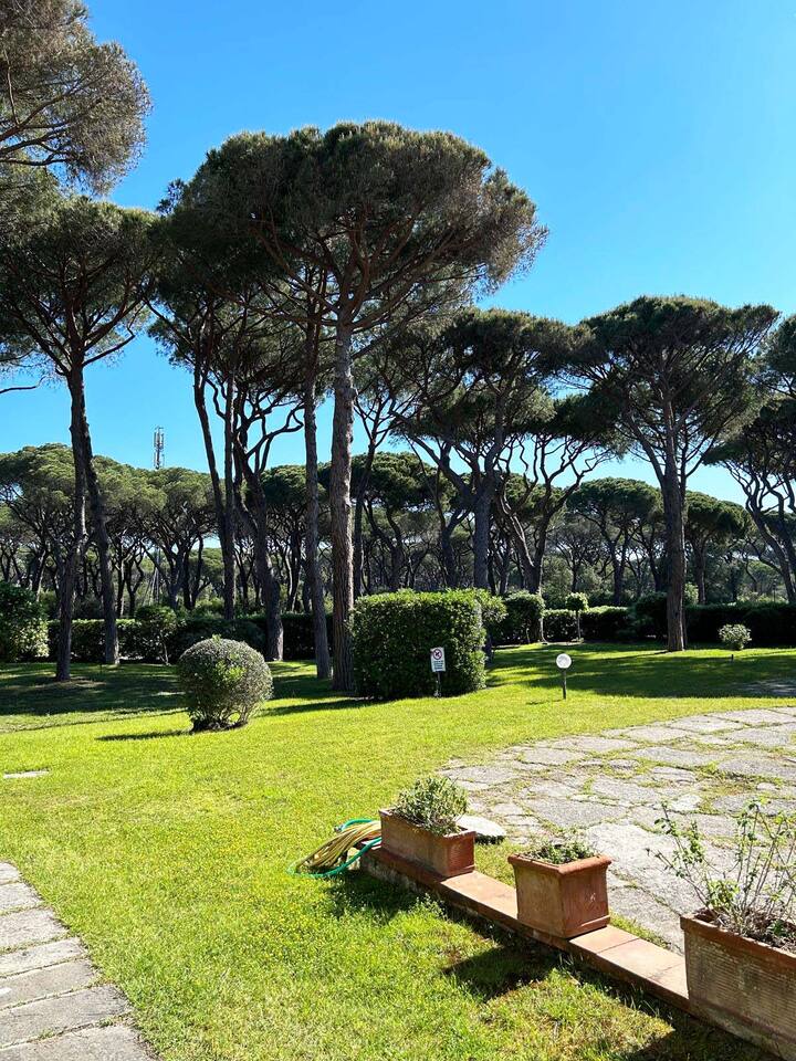 Casa In Ottima Posizione - Castiglione della Pescaia