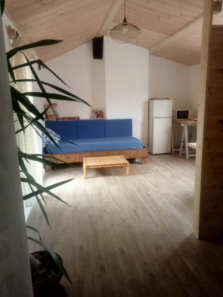 Chambre Et Salon Dans Le Centre - Digne-les-Bains
