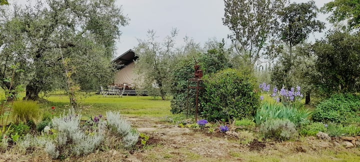 Glamping Tenda Safari Toscana
Peonia - Follonica