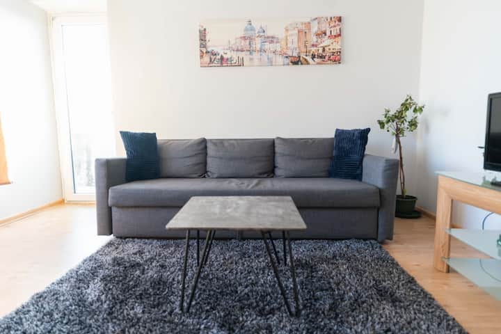 ŠEškinės 61 Cozy Apartment - Vilnius