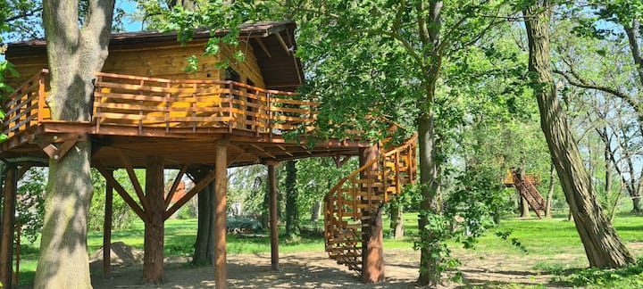Domek Na Drzewie —  Kasztan - Polen