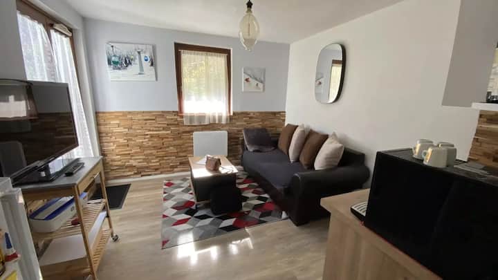 Appartement F2 Vue Montagne - Lélex