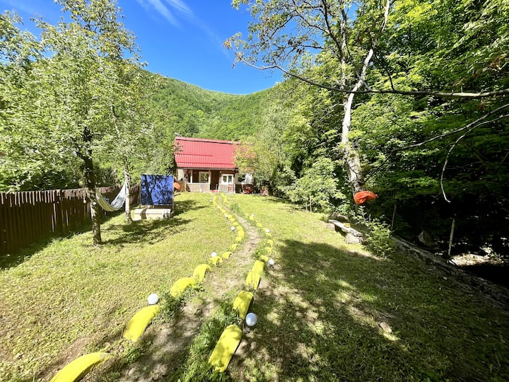 House In The Forest - Baia Mare