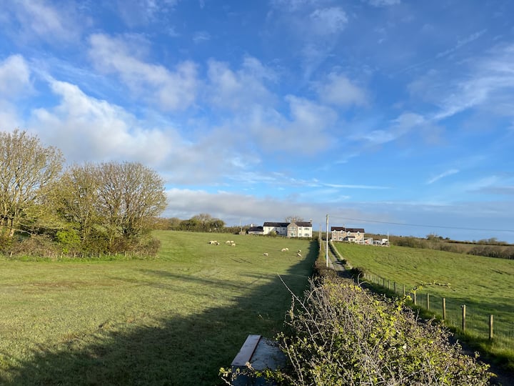 Ty Dderw Anglesey. - Anglesey