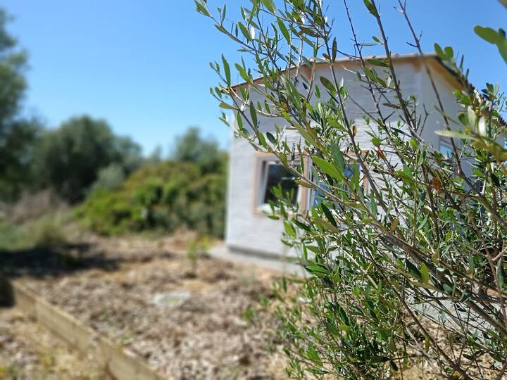 Casa Oliveira, Suíte Queen, Na Quinta Da Fornalha - Altura