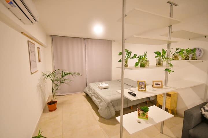 Artsy San Telmo Hide - Buenos Aires