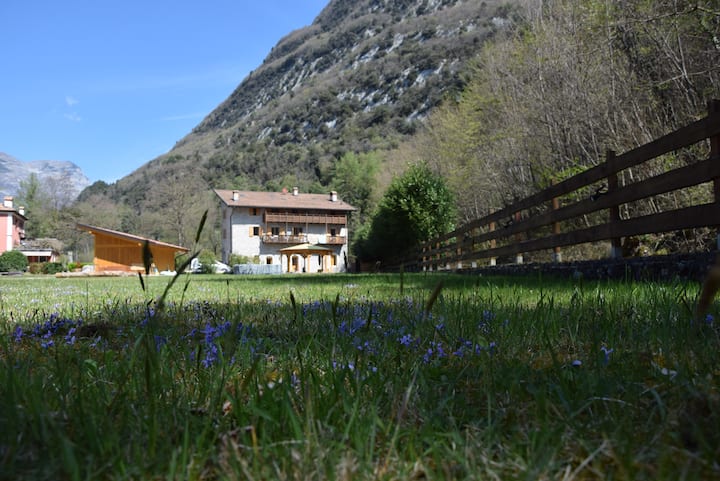Country House Foglie D'erba, Appartamento Iris - Trentino-Alto Adige