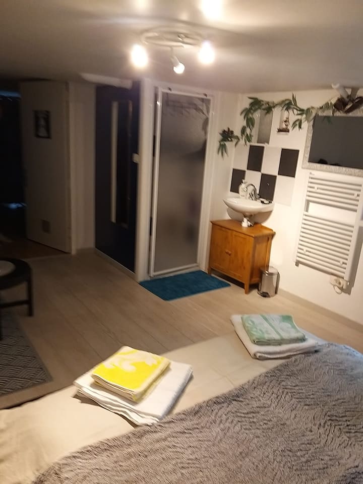 Chambre Sous Sol
Commerces200m - Saint-Lô