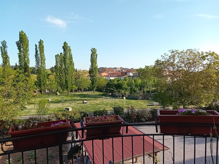 Appartamento "Le Ginestre" - Rapolano Terme
