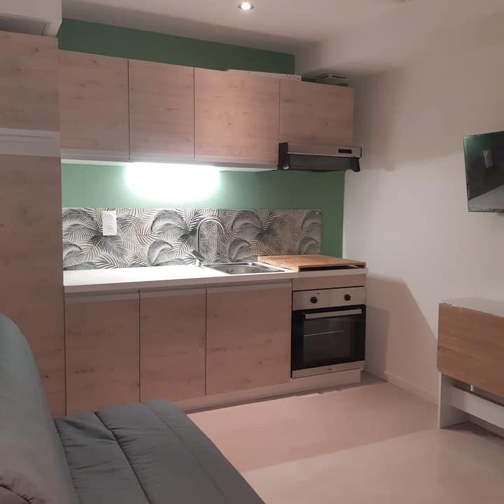 Maisonnette Avec Jardin Limite Orléans - Orléans