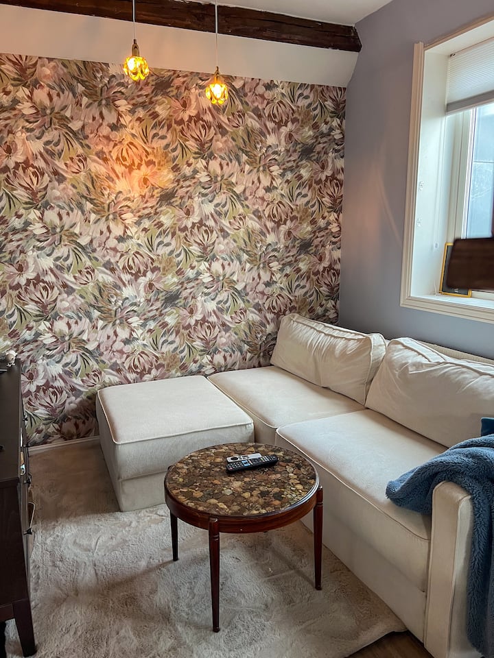 Cosy Studio In The Middle Of Bogstadveien - Oslo