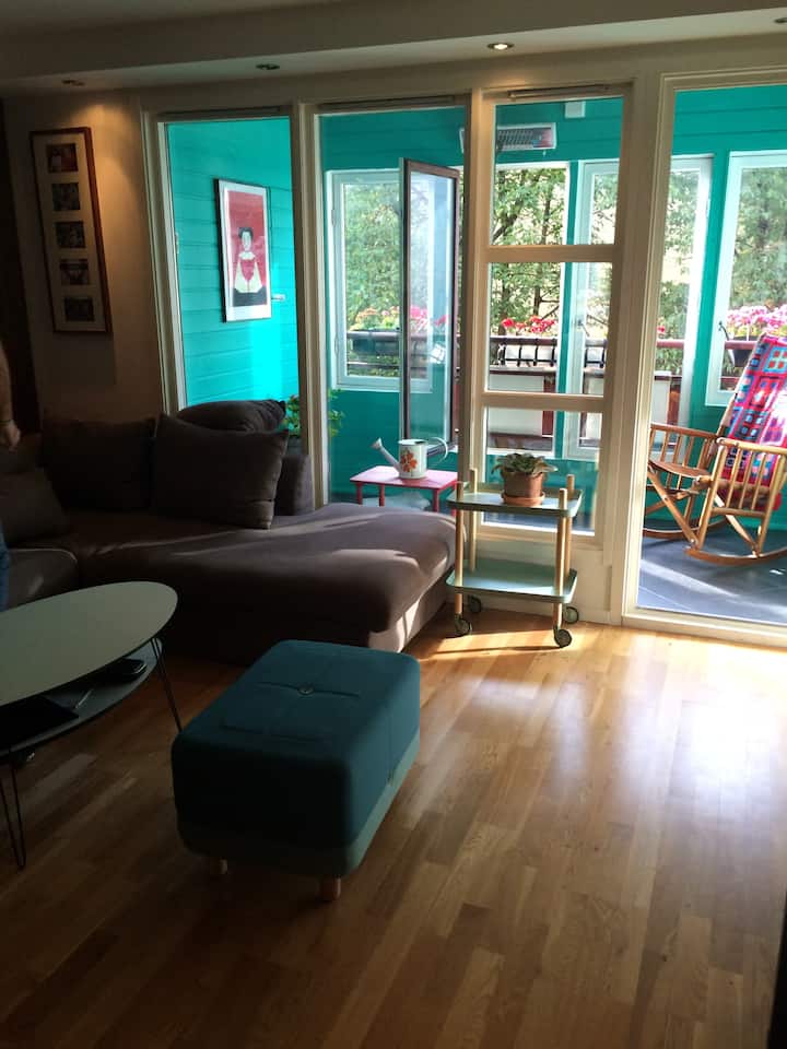 Hjemmekoselig Leilighet - Oslo