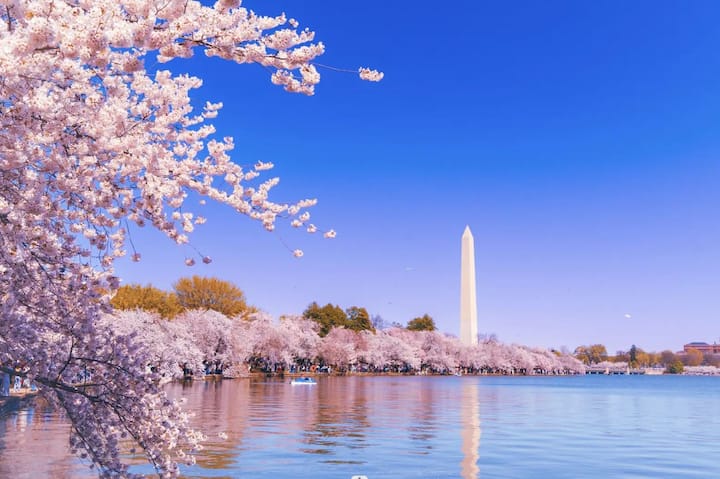 B02 Serenity Pr- Self Check-in! - Washington, DC