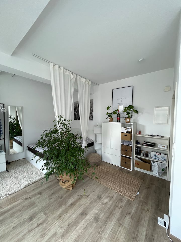 Most Central Apartment Of Mannheim - Mannheim