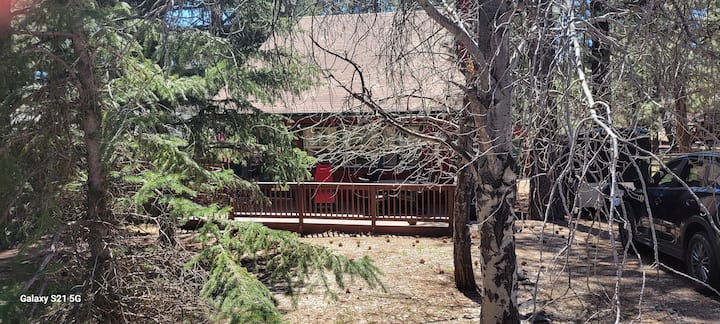 Bear Haven - Munds Park, AZ