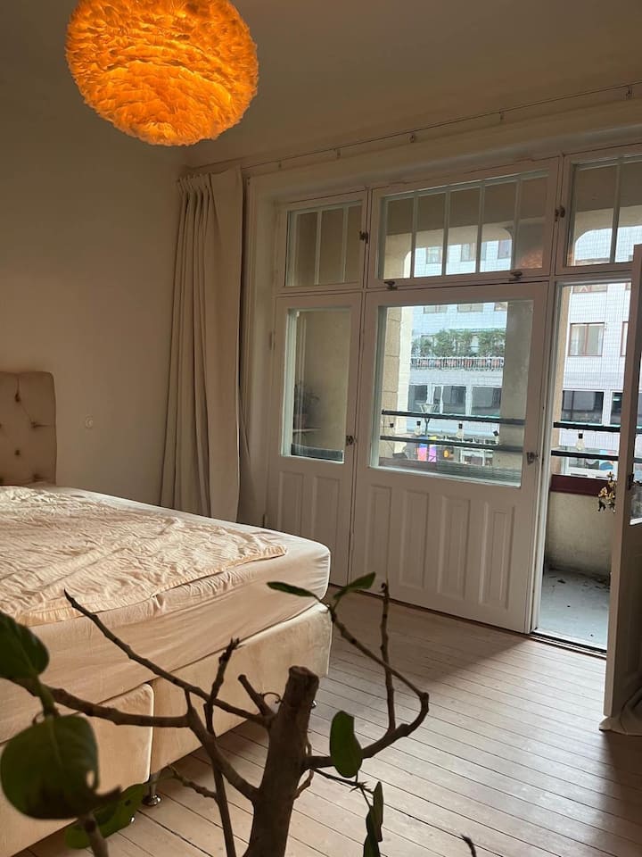 Spacious, Central, Century Old Apartment - Lomma