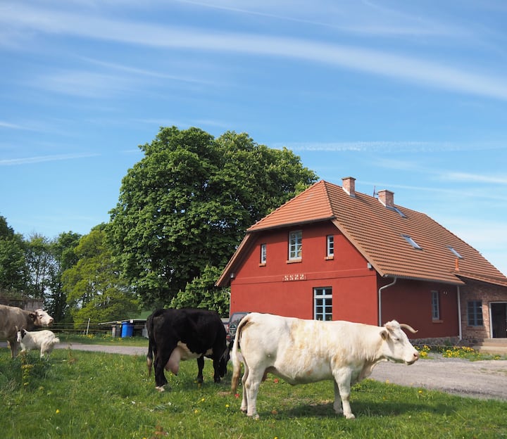 Ferienwohnung Hirsch (1) - Sagard