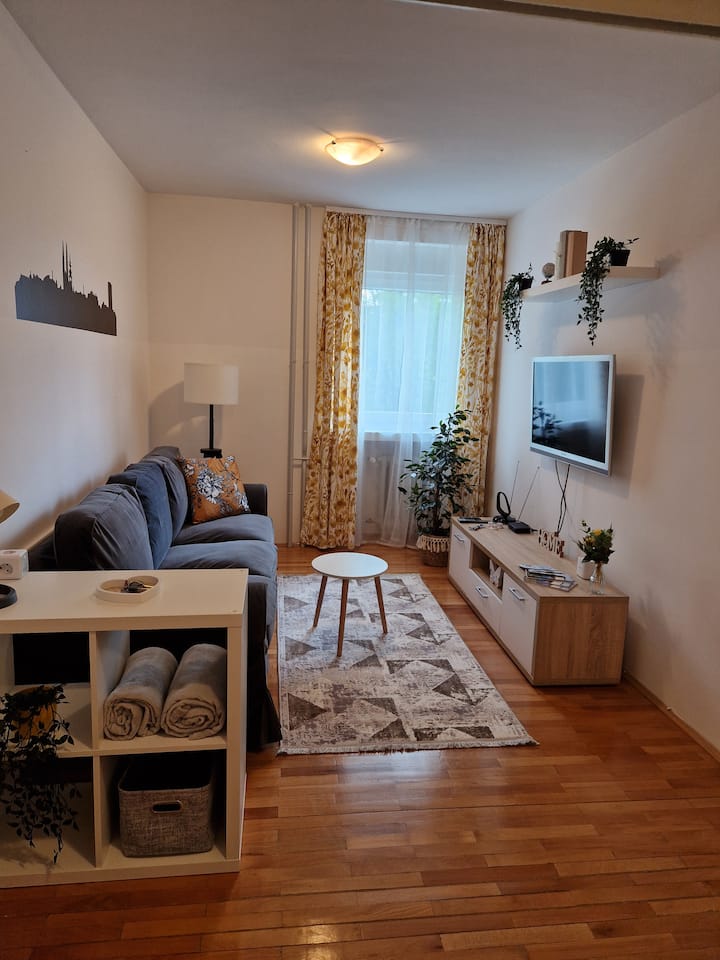 Spacious 2 Bedroom Apartment & Free Parking - Zagreb
