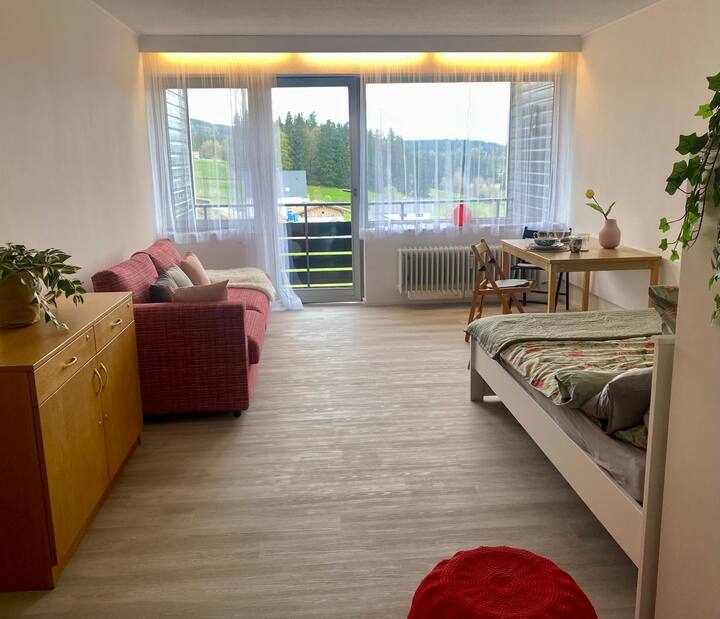 Ausblick Dreisessel Und Badesee - Philippsreut