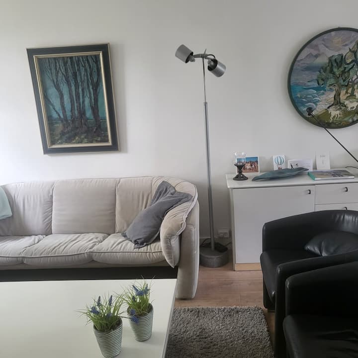 Comfortabel Huis, Vlak Bij High Tech Campus - Eindhoven