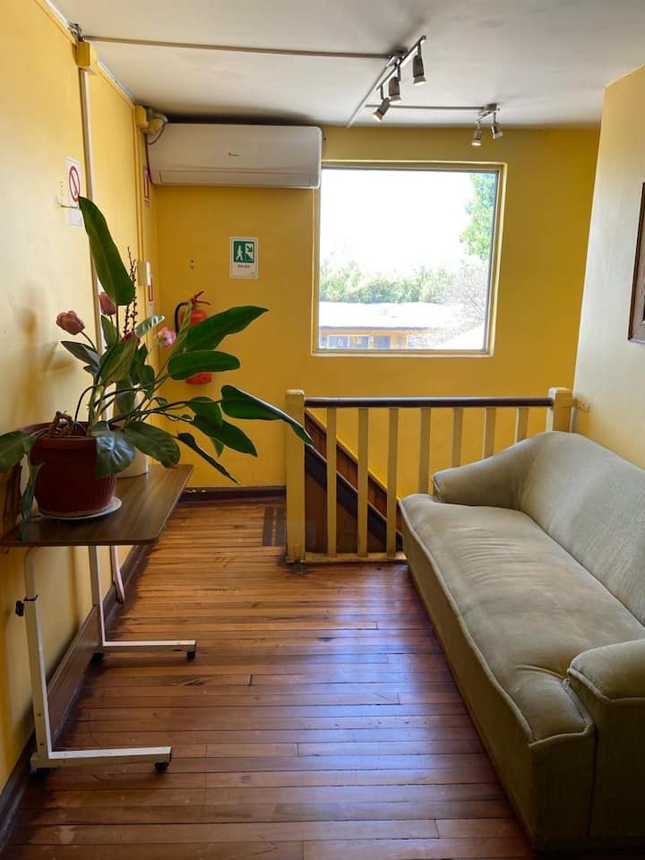 Hostal Radal H2h3 Económica - Molina