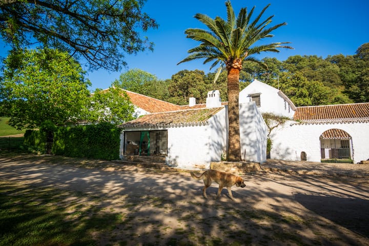 A Family`s Dream Of Farm Living - 龍達