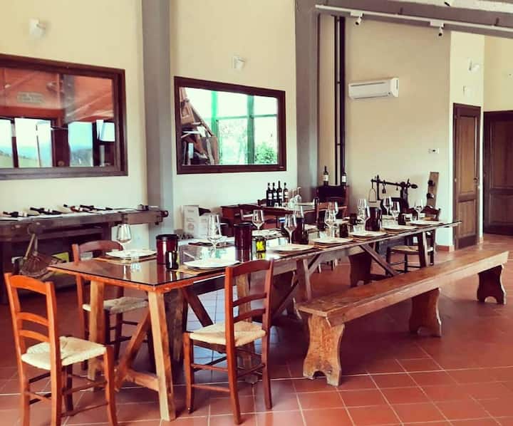Your Loft In Chianti Countryside - Italy