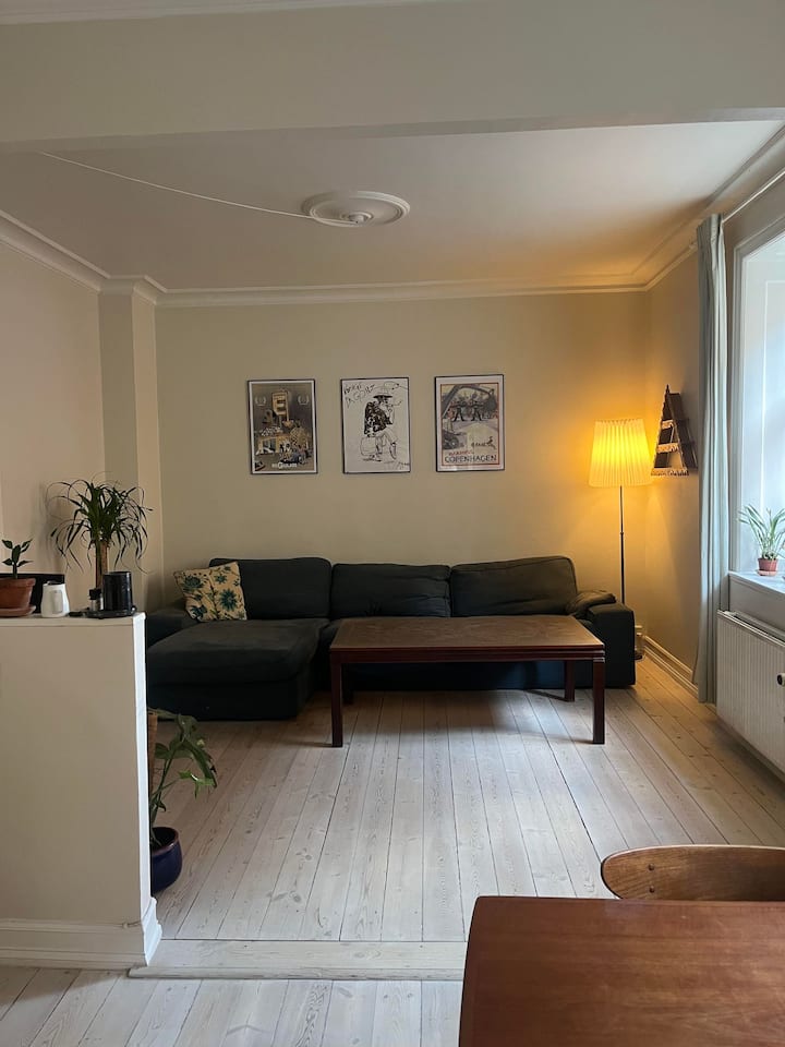 Two-room Apartmet In Copenhagen - Copenhagen Airport (CPH)