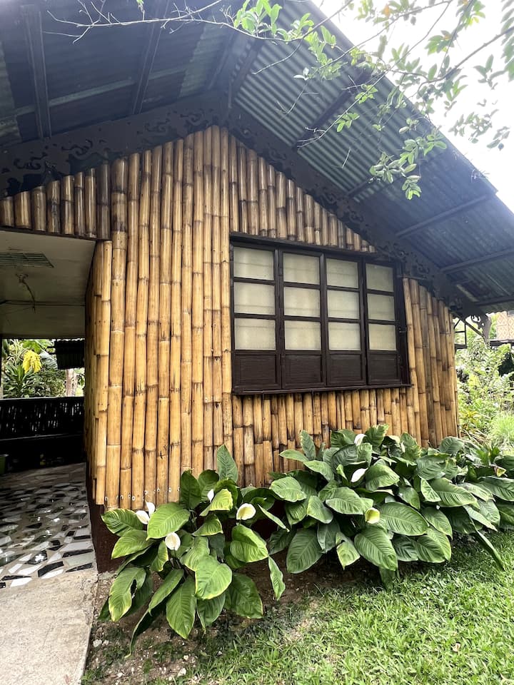Lyn's Backpackers Inn- With Aircon - Loboc