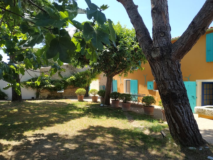 Maison Piscine Jardin Palmeraie 12-14 Couchages - Saint-Denis-d'Oléron