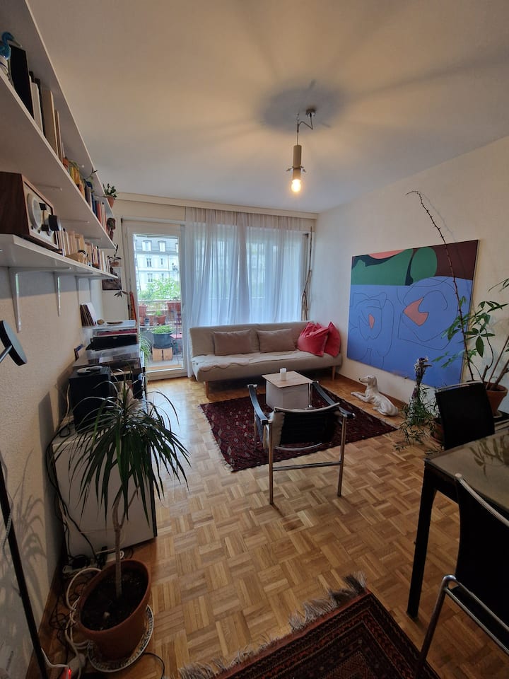Appartement Lumineux Et Calme - Lausanne