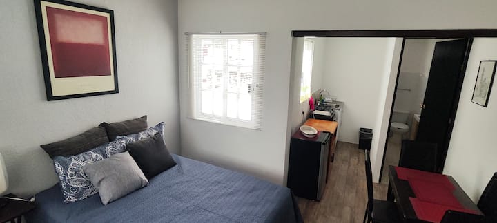 Loft " Ideal Para Trabajo Wtc - Mexico City