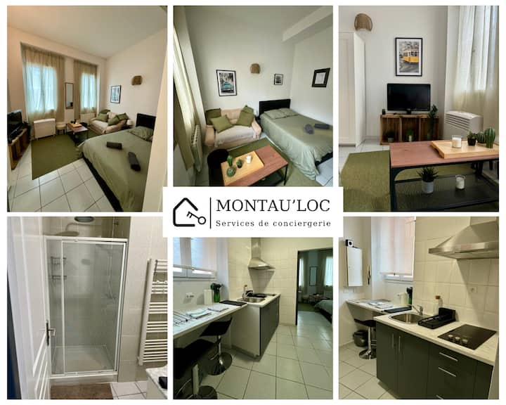 Le Cactus, Proche De La Gare, Avec Climatisation - Toulouse