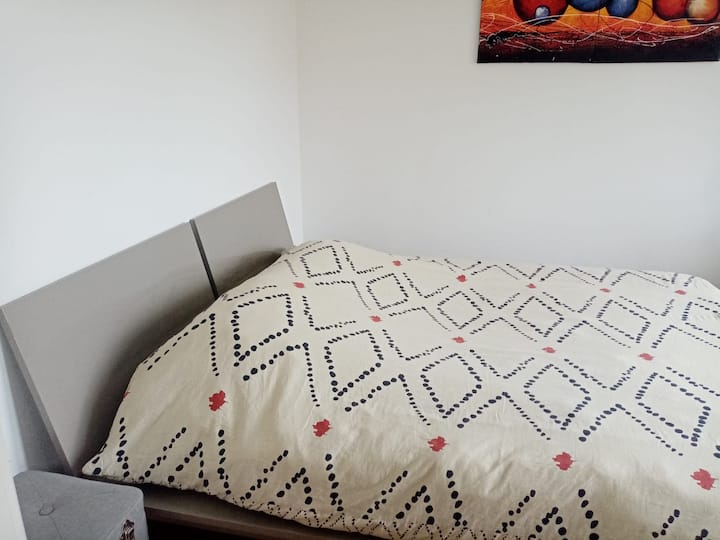 Bel Appartement Proche Du Centre-ville - Metz