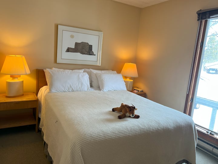 Jackson Hole Vacation Condominiums - Jackson, WY
