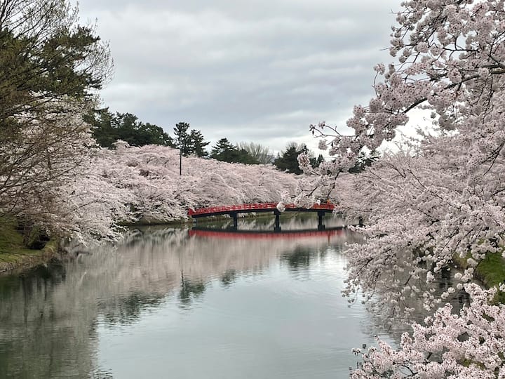 女性の一人旅。女子会旅。静かな環境で、弘前を感じる旅。弘前公園西堀、桜のトンネルまで徒歩10分 - 弘前市