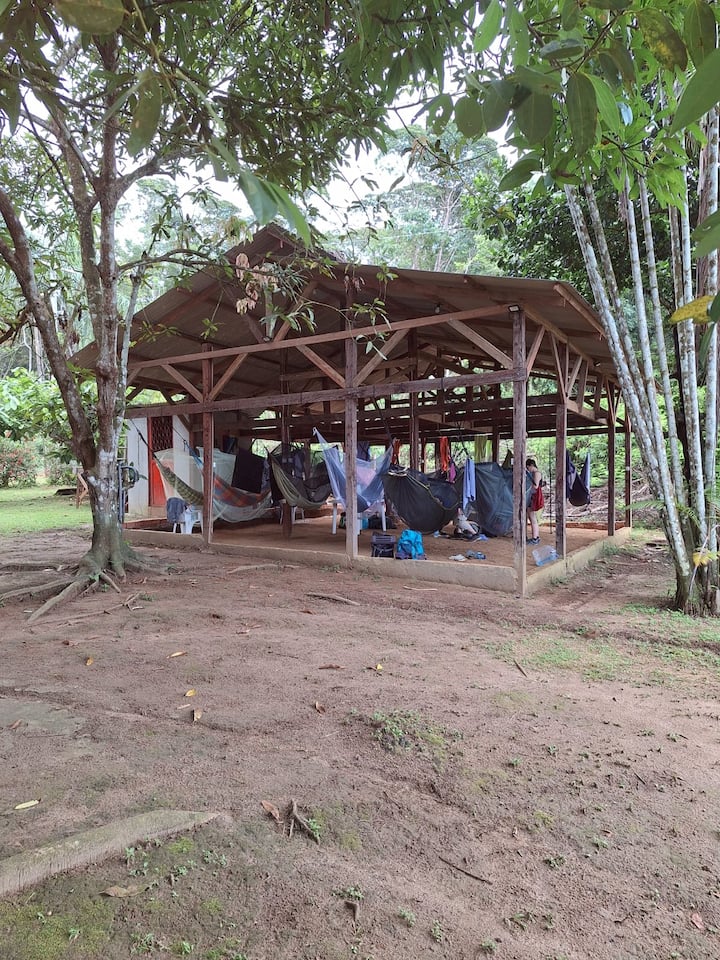 Carbet Hamac à Casa Da Flora - Guyane française