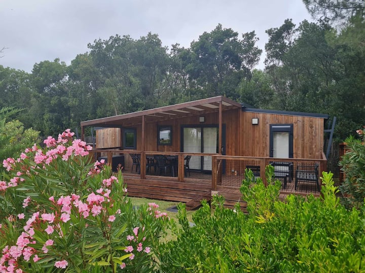 Chalet Sur Le Bassin D'arcachon - Gujan-Mestras