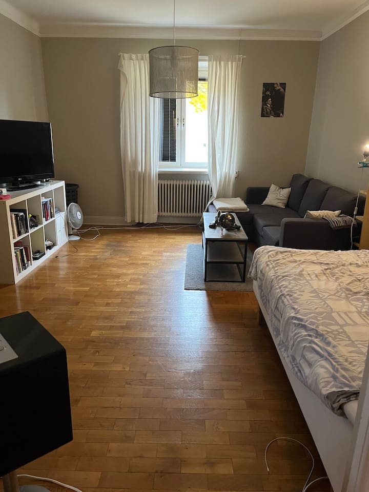 Mysig Och Stor Etta I Råsunda - Solna