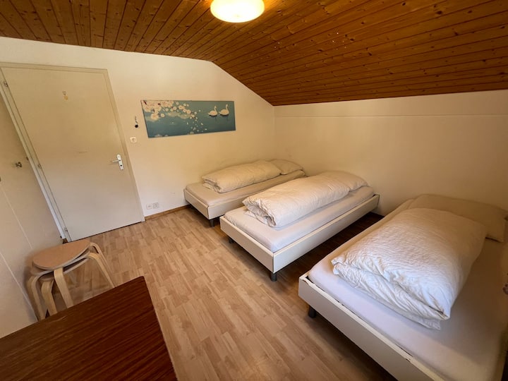 Near West Station Shared Bathroom D8 - Wilderswil