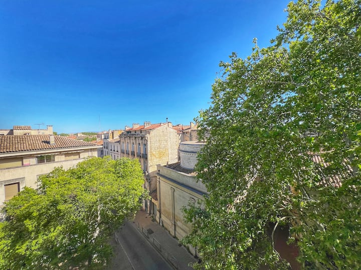 Nid Perché En Centre Historique D'avignon - Avignone