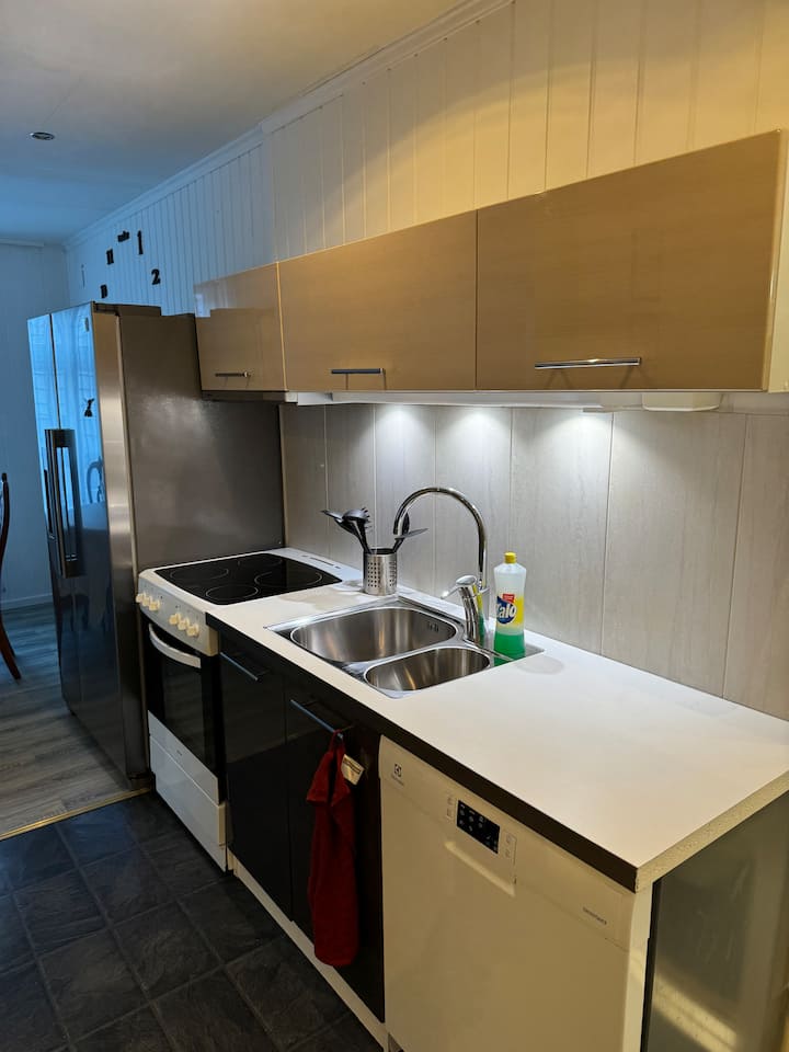 Duzy Apartament Centrum - Ålesund