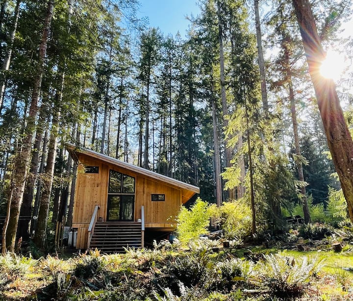 Mid-island Modern On Savary - Vancouver Island