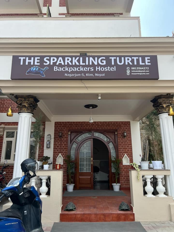 The Sparkling Turtle. - Katmandú