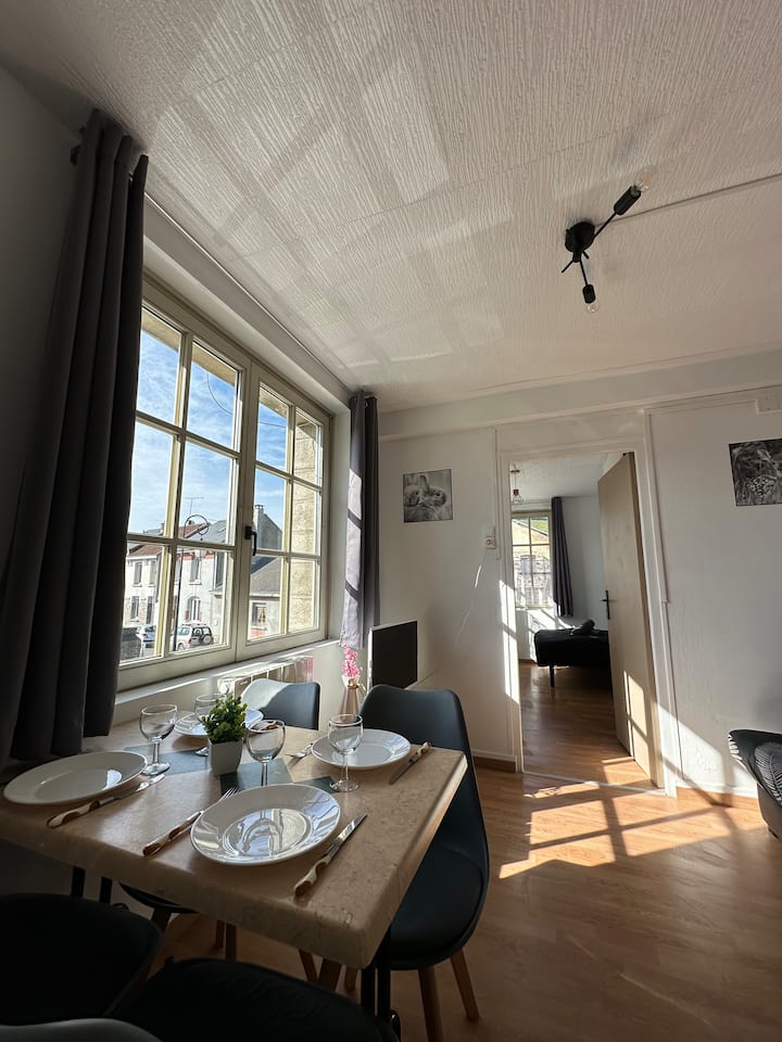 Cozy Et Lumineux Appartement En Centre Ville - Ardennes