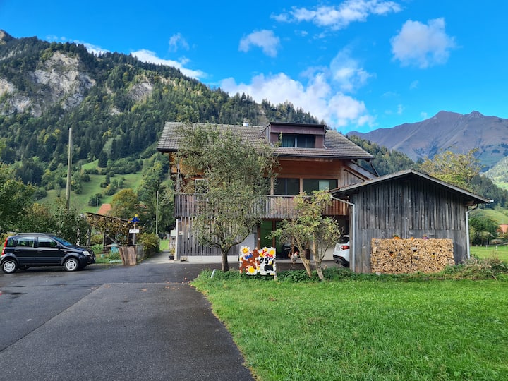 2-zimmer Wohnung In Frutigen - Frutigen