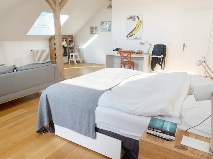 Beautiful Large And Quiet Room - Thionville