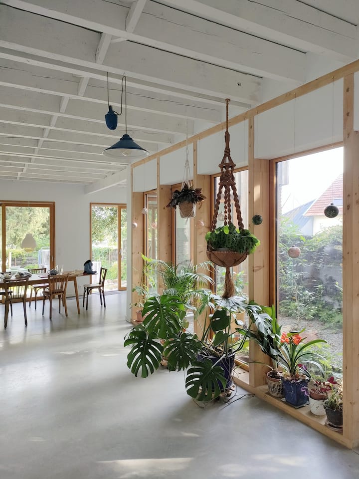 Maison D'architecte Hyper Centre - Dol-de-Bretagne