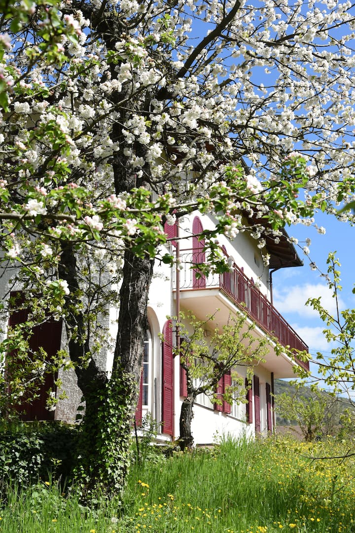 In Campagna A Casa Di Silvia 2 - Garessio