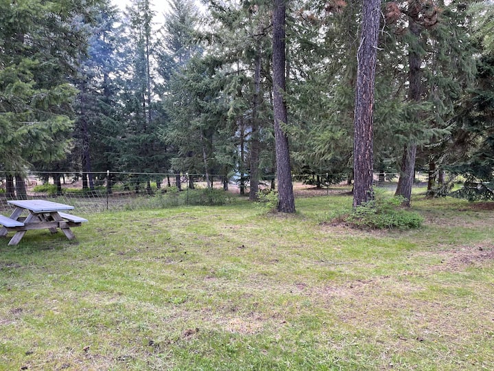 Campsite In Athol, Id- The Woods - Farragut State Park, Athol